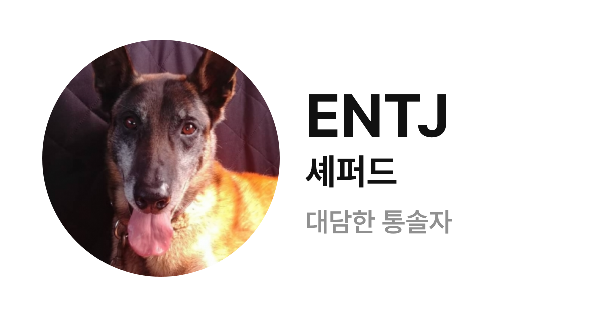나와 닮은 반려견 찾기 | 한국일보