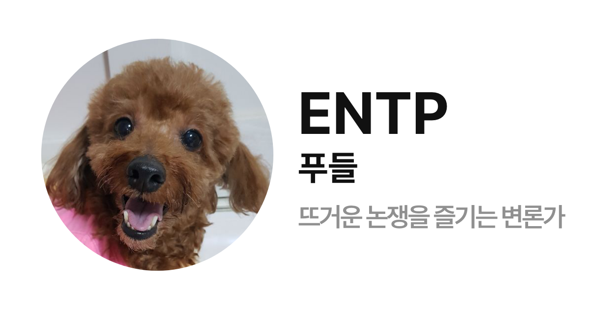 나와 닮은 반려견 찾기 | 한국일보